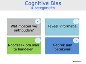 Wat is Cognitive Bias? - agile4all